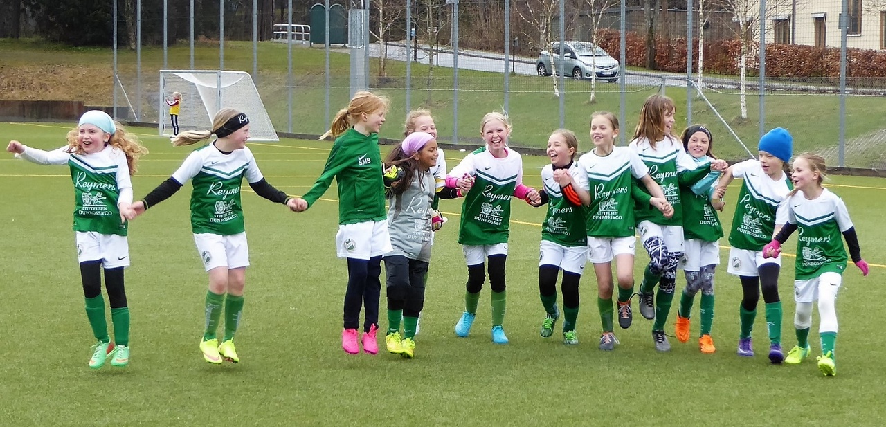 Reymersholms IK - Dam-J:1